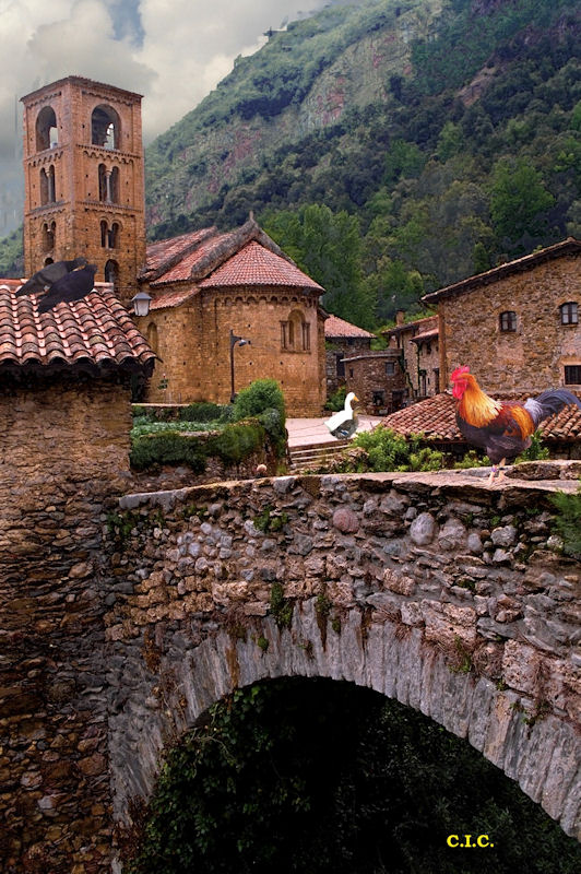 Beget | enciclopedia.cat
