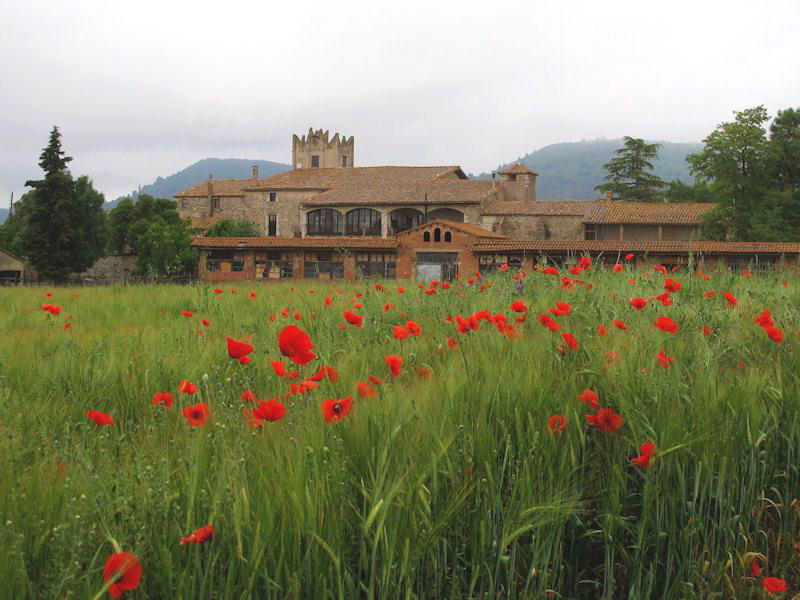 el Masot | enciclopedia.cat