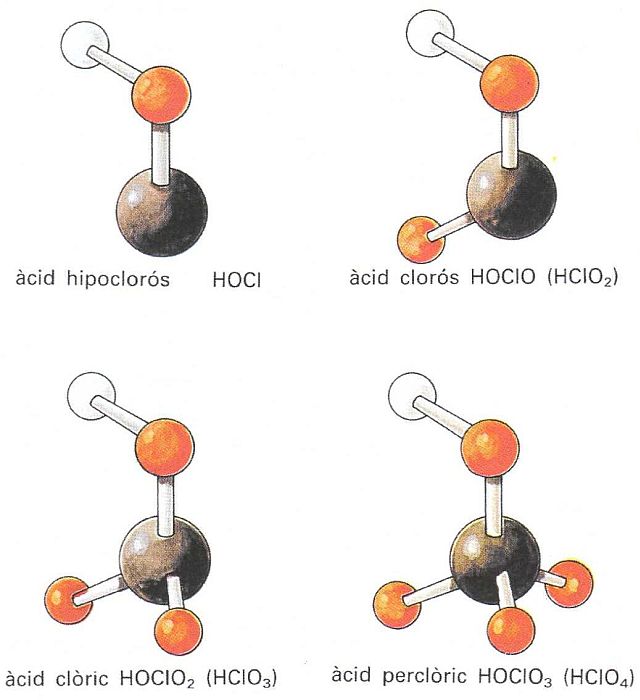clor | enciclopedia.cat
