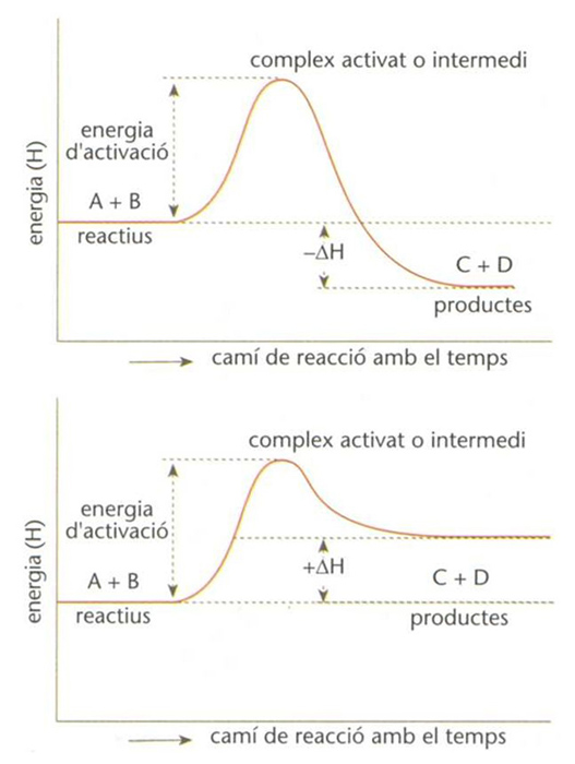 reacció | enciclopedia.cat