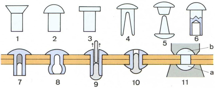 rebló | enciclopedia.cat