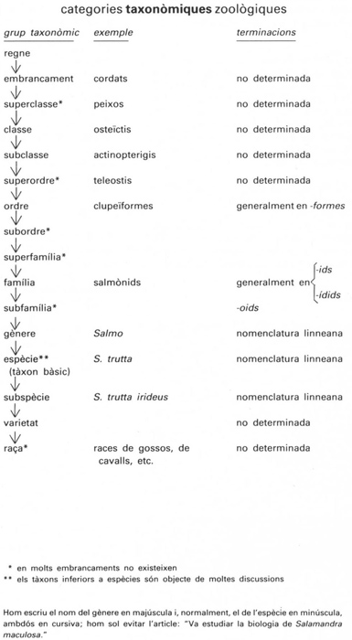 taxonomia | enciclopedia.cat